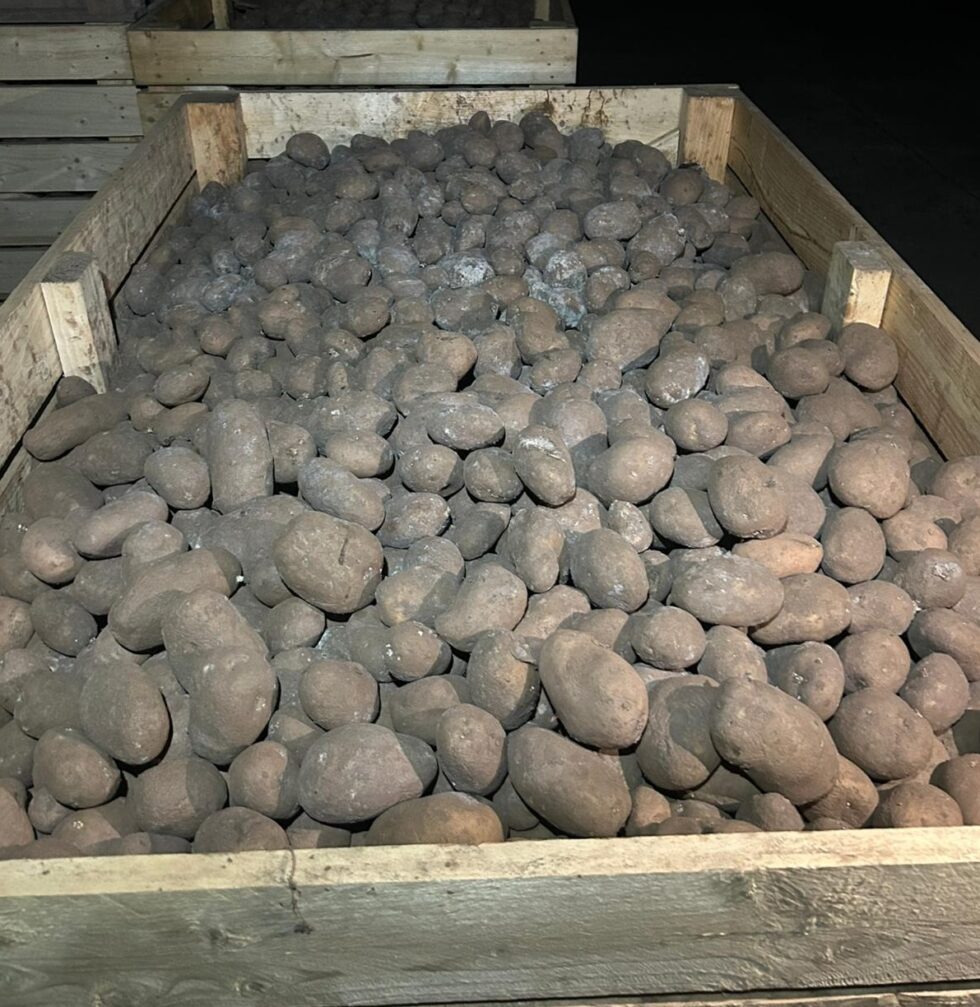 Feed-Stock | Sustainable Anaerobic Digester Feedstock Solutions